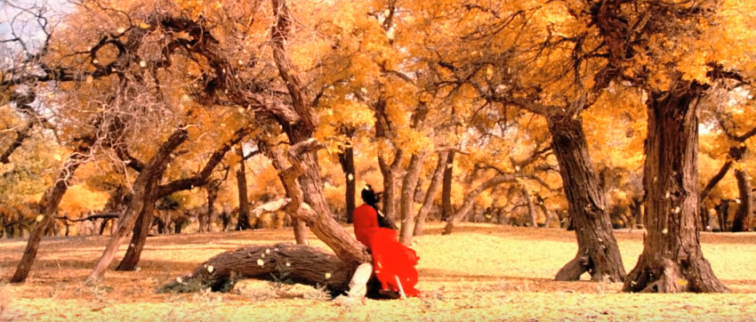 Color in Storytelling by Lewis Bond – Gaddis Visuals